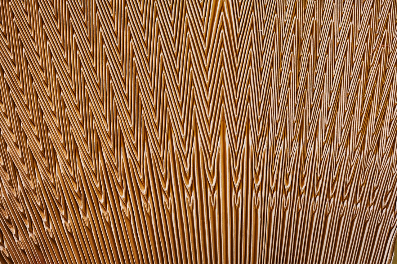 PLISSÉE • Made/in